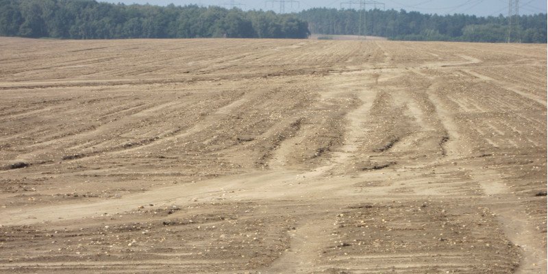 Why don't we till the soil? - Bravo Botanicals